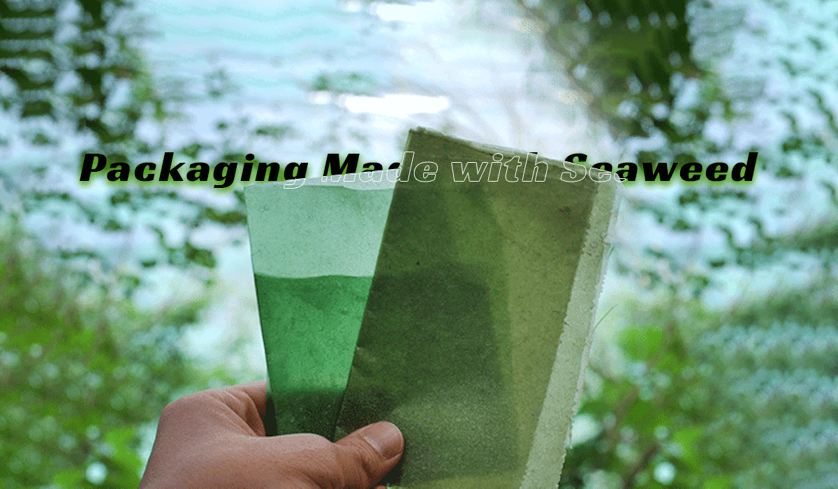 What Can You Use Instead of Cardboard? - Claws Custom Boxes